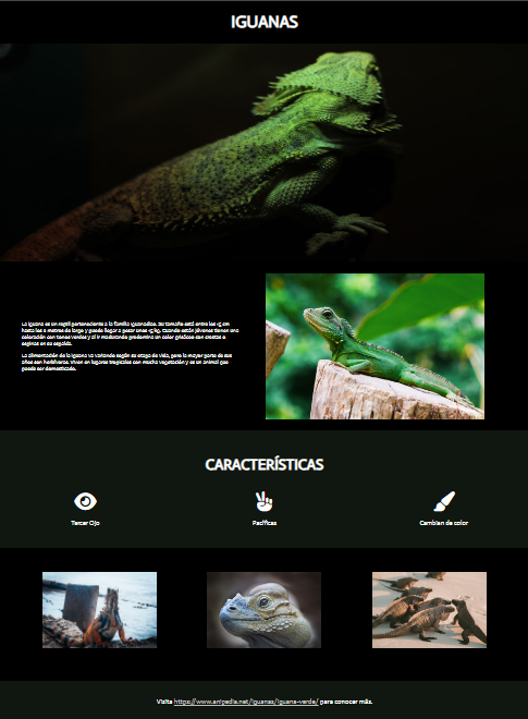 CV Kevin Ianiszewski